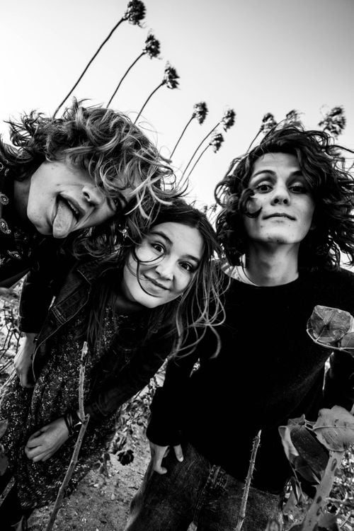 Speed Of Light - Criaturas Salvajes